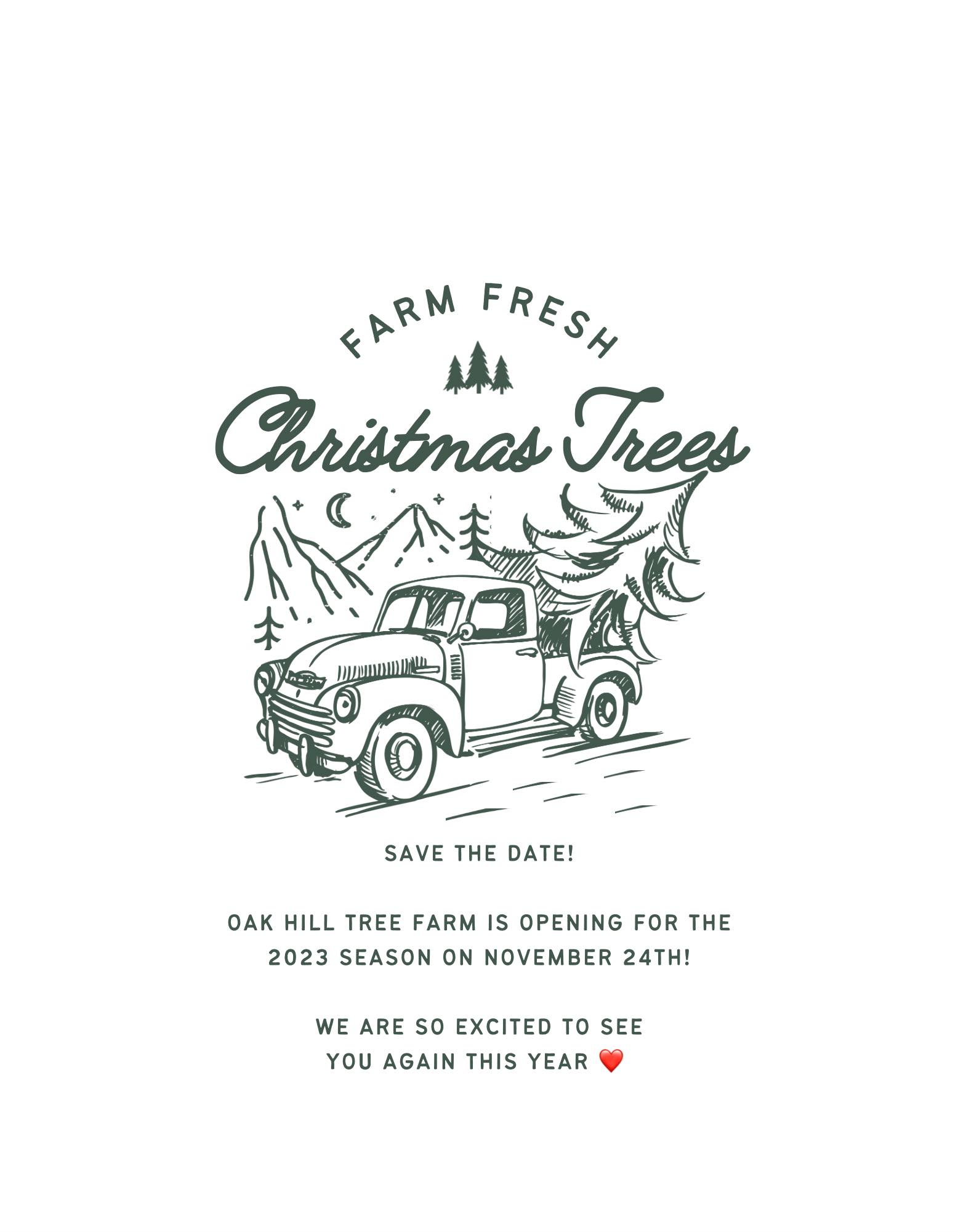 Christmas Trees